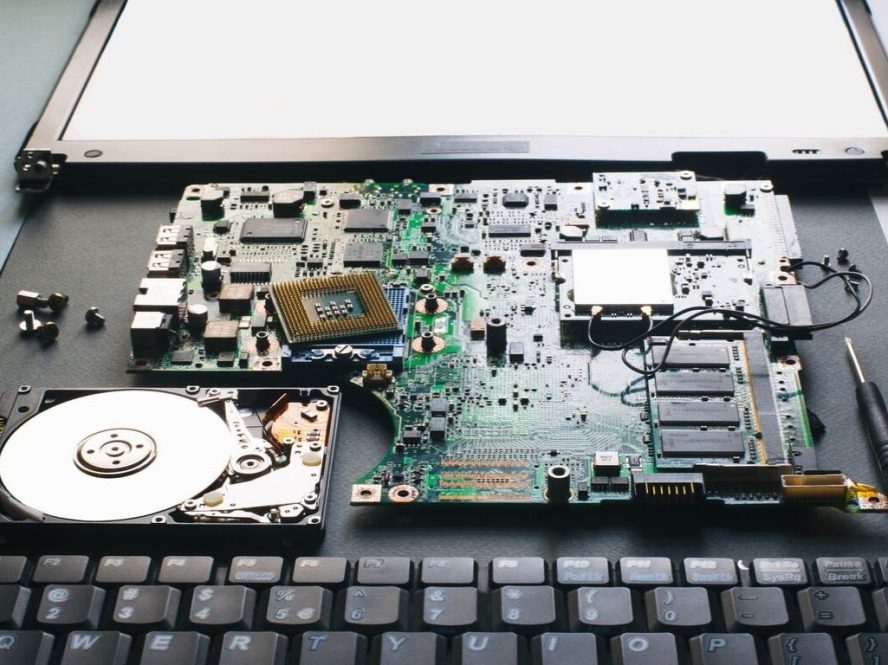 How To Get Rid Of Ants From Laptop?