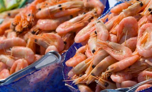 Are Shrimp Related To Cockroaches?