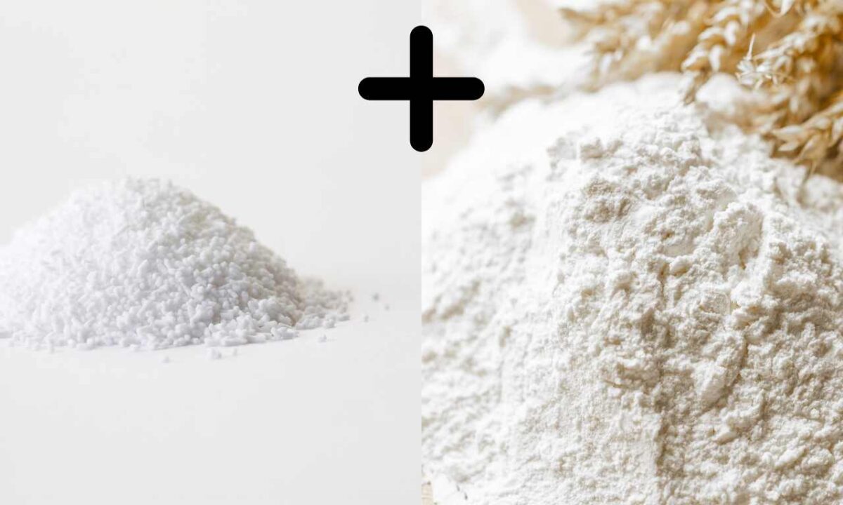 Do Cockroaches Eat Flour?